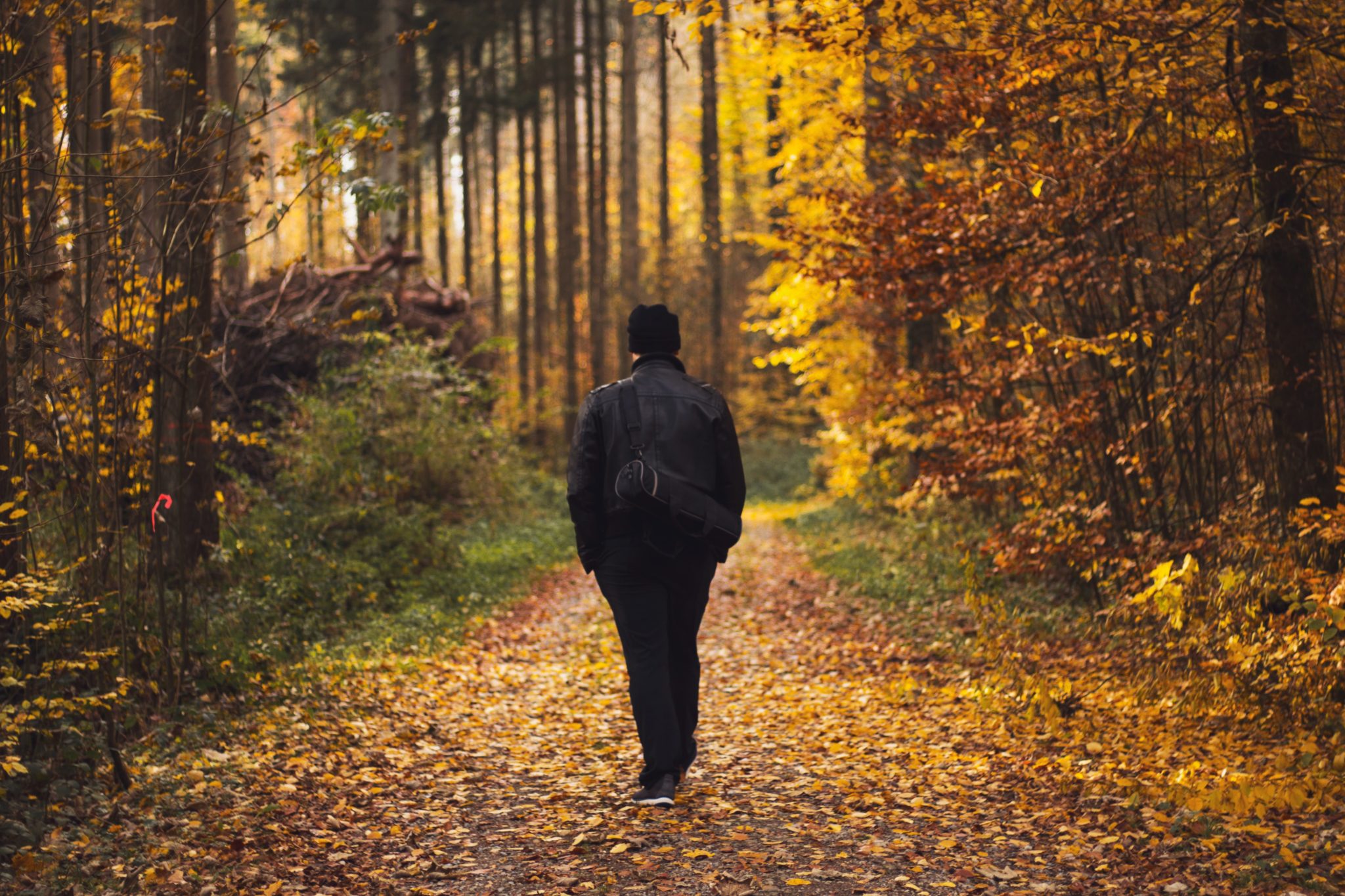 Go at your own pace: why is pacing yourself so important? - Fire ...